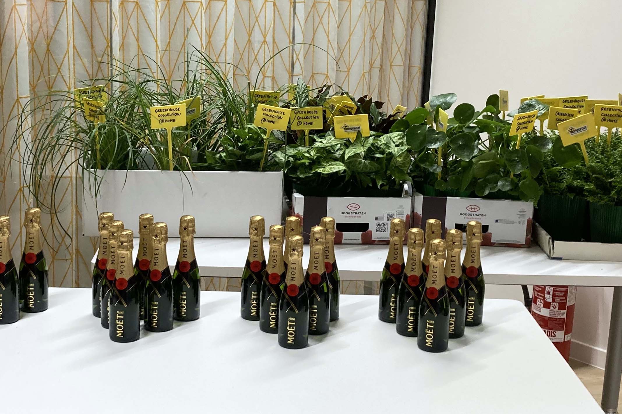 Kangaroot is moving to a new office! | Kangaroot